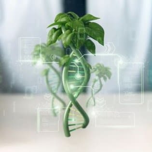 Research – Catoni Lab