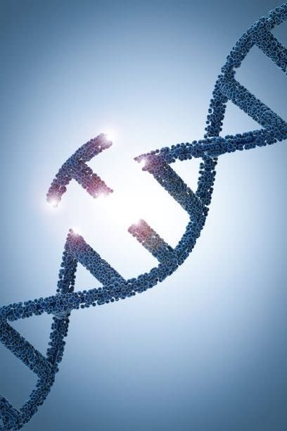 Research – Catoni Lab